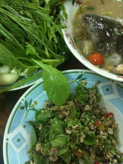 Laos Food - An introduction to Lao Food